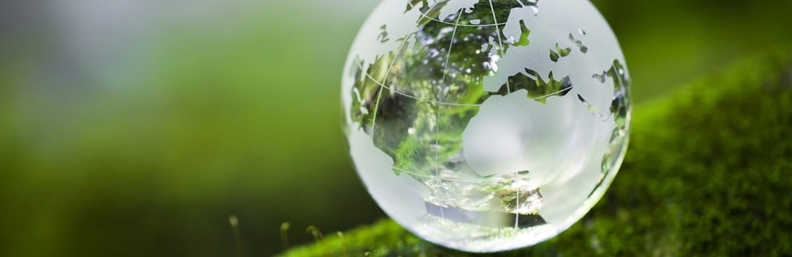 Global giving